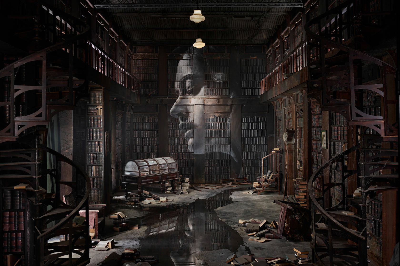 The Library - OPEN EDITION PRINT – RONE